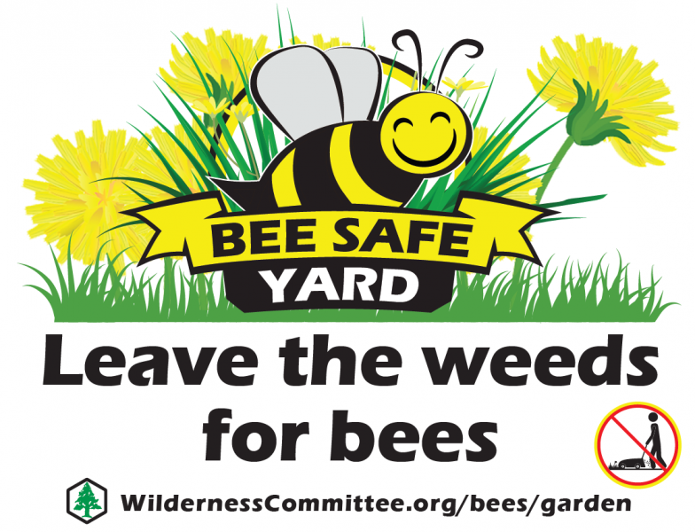 How to grow a "bee-friendly" garden | Wilderness Committee