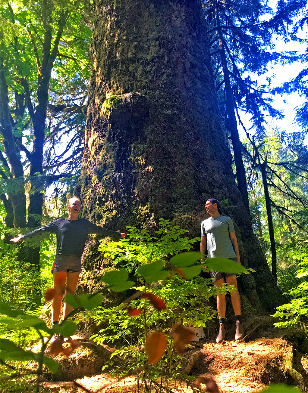 A Friendly Competition | Wilderness Committee