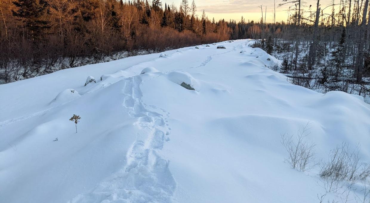Peat Mining | Wilderness Committee