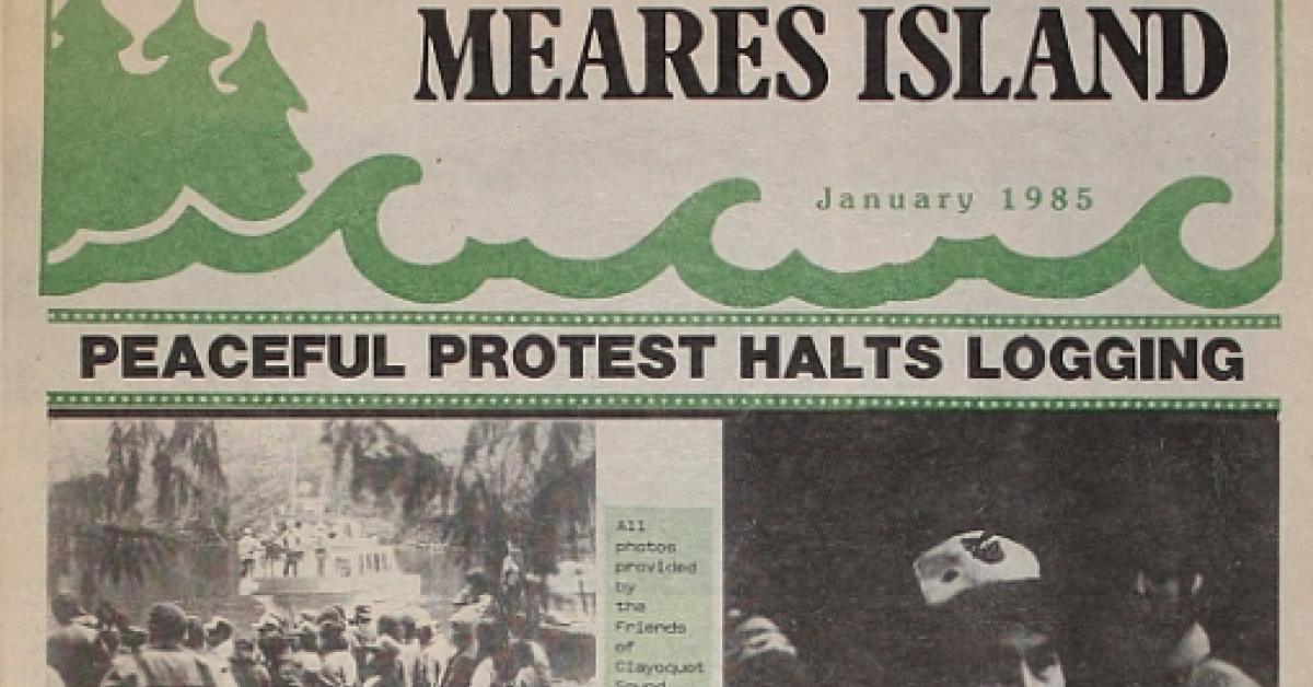 Meares Island | Wilderness Committee