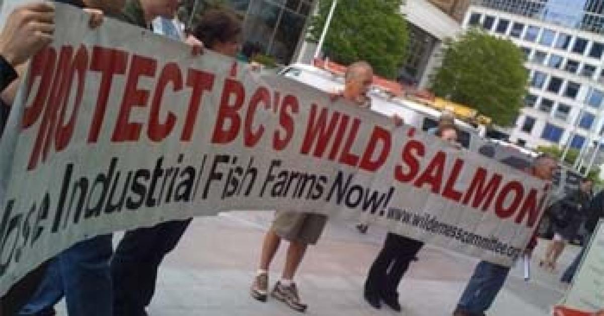 Salmon Rally photos | Wilderness Committee