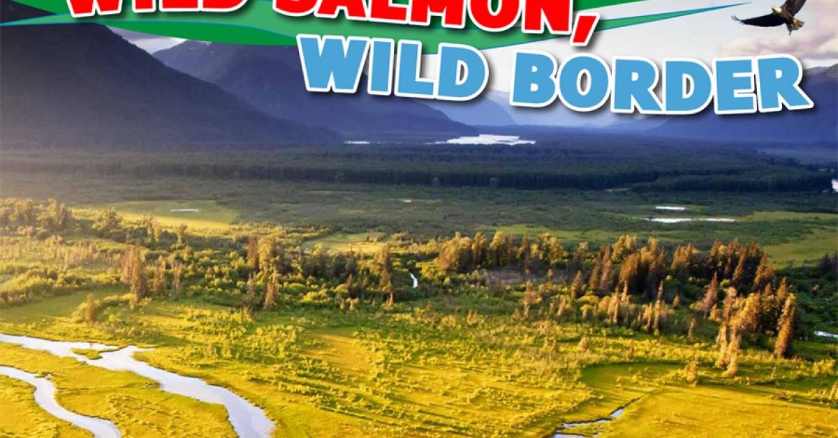 Wild Salmon, Wild Border...For How Long? | Wilderness Committee