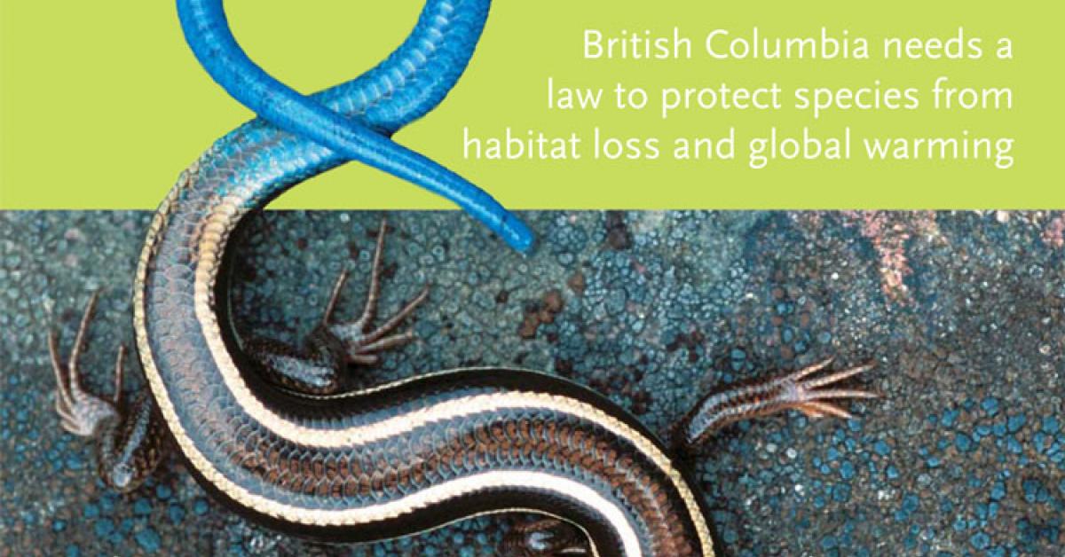 The Last Place on Earth | Wilderness Committee