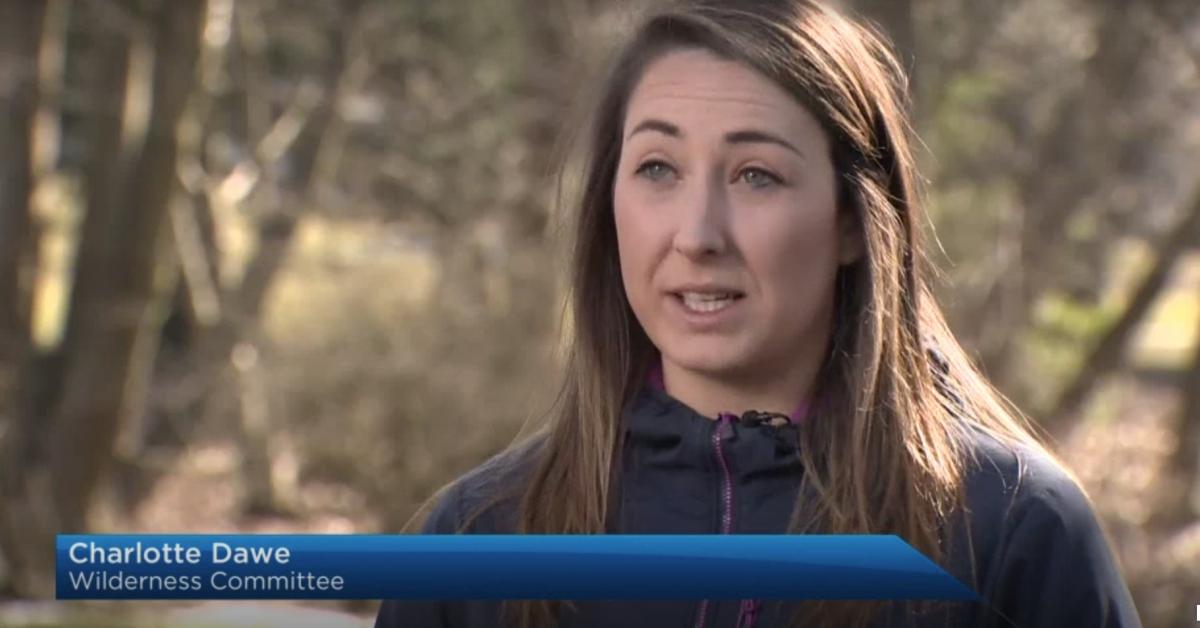 TV News Story - Outrage sparked by BC's wildlife killing contests ...