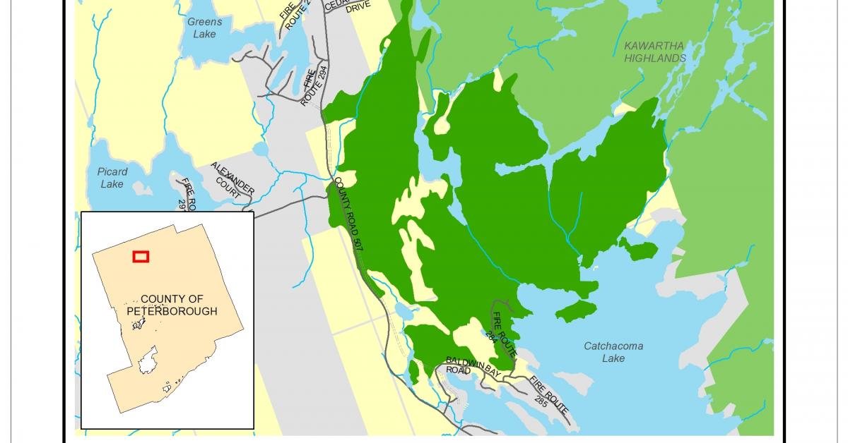 Largest known old-growth eastern hemlock forest in Canada threatened by ...