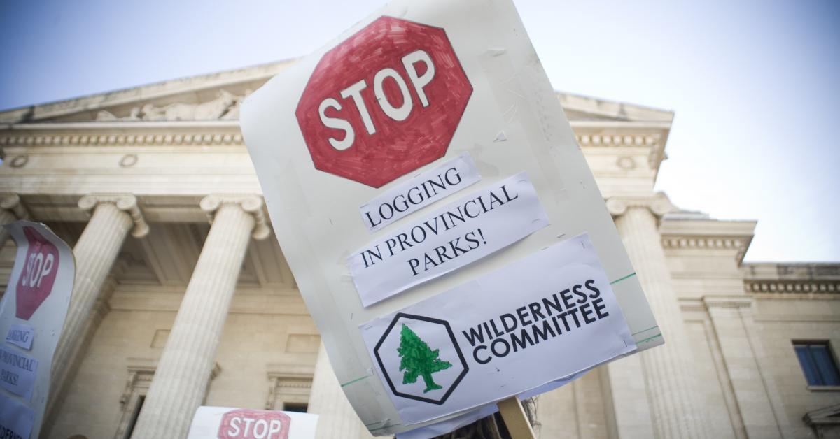 Wilderness Committee celebrates 20 years of protecting nature ...