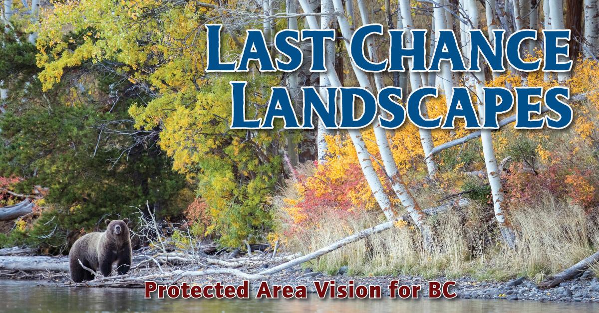 Last Chance Landscapes: Protected area vision for BC | Wilderness Committee