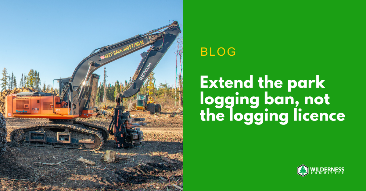 Extend the park logging ban, not the logging licence | Wilderness Committee