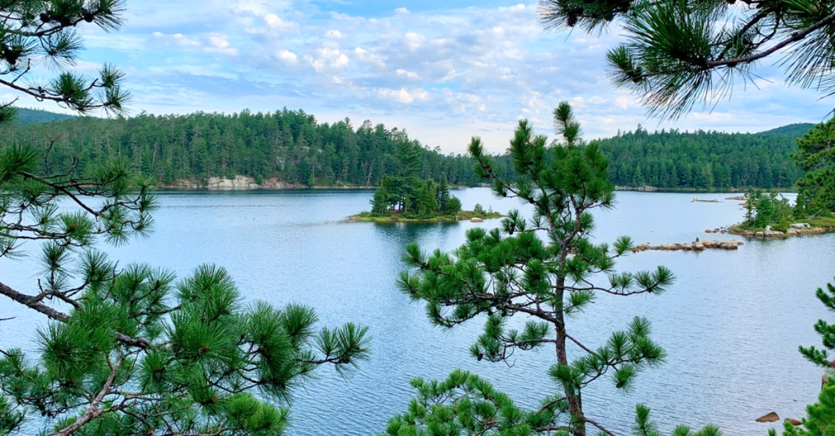 Canada-Ontario Nature Conservation Announcement Falls Short ...