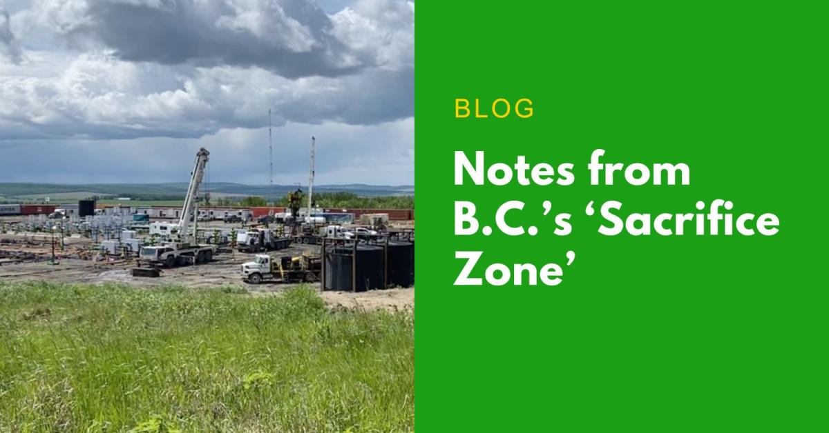 Notes From B.C.’s ‘Sacrifice Zone’ | Wilderness Committee