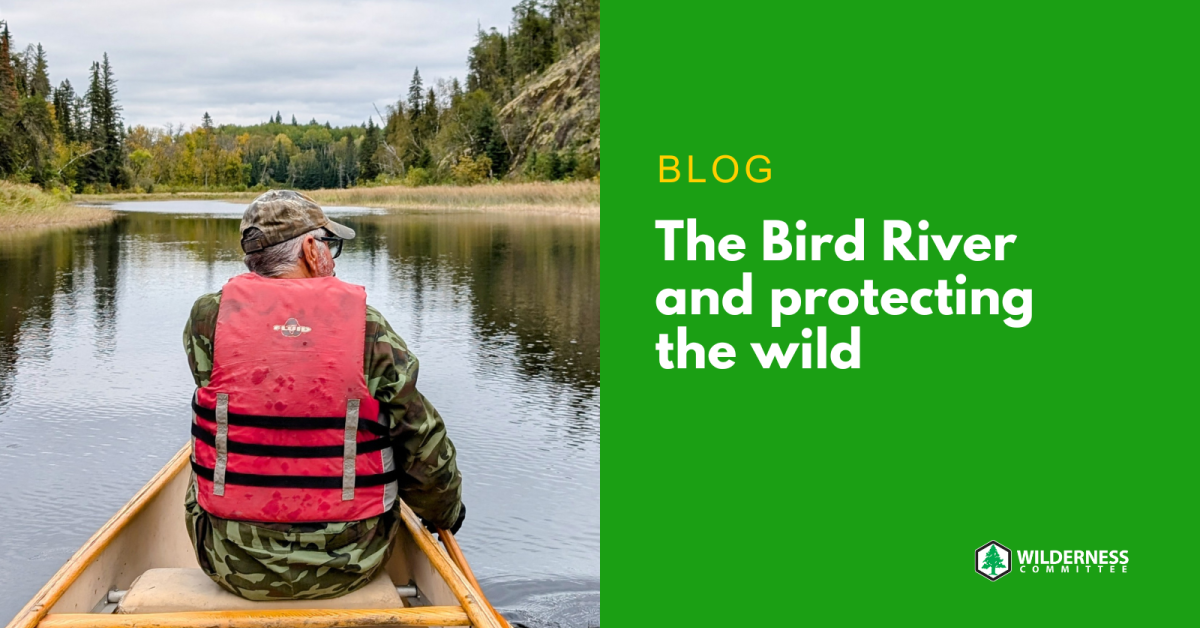 The Bird River and protecting the wild | Wilderness Committee