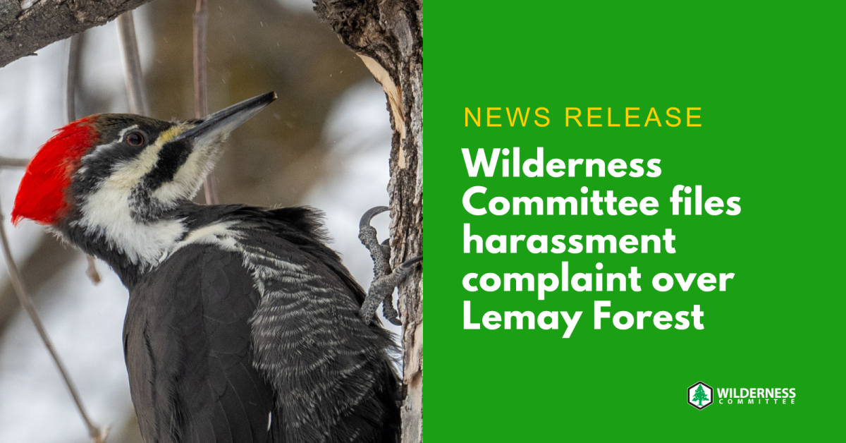 Wilderness Committee files harassment complaint over Lemay Forest ...