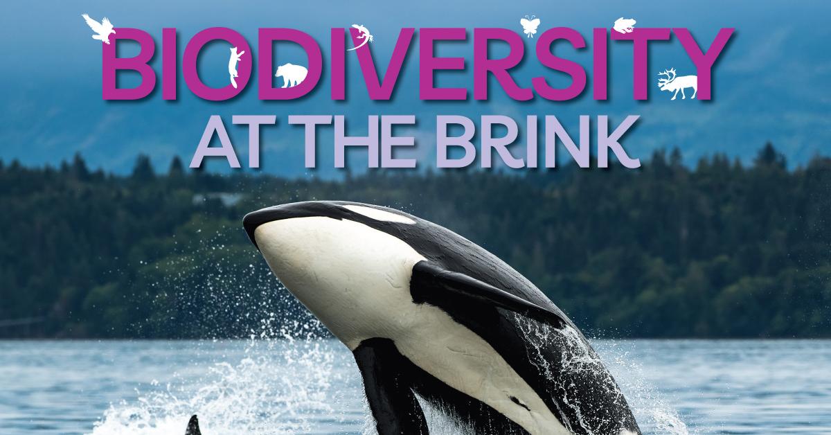 BIODIVERSITY AT THE BRINK | Wilderness Committee