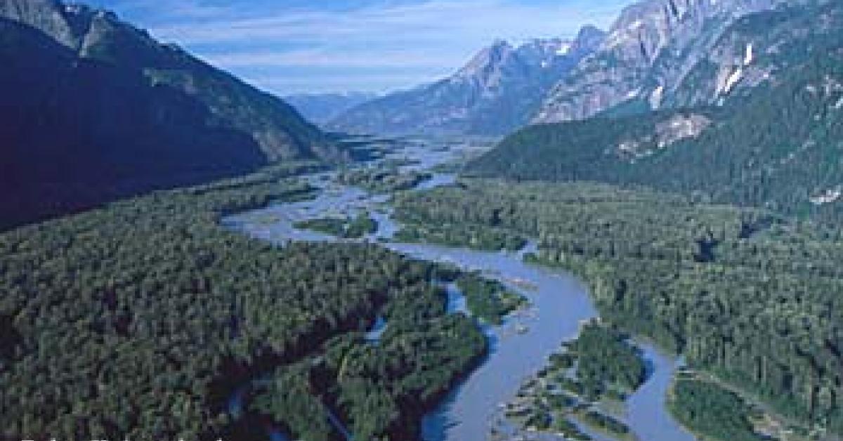 BC's Great Northern Salmon Rivers | Wilderness Committee