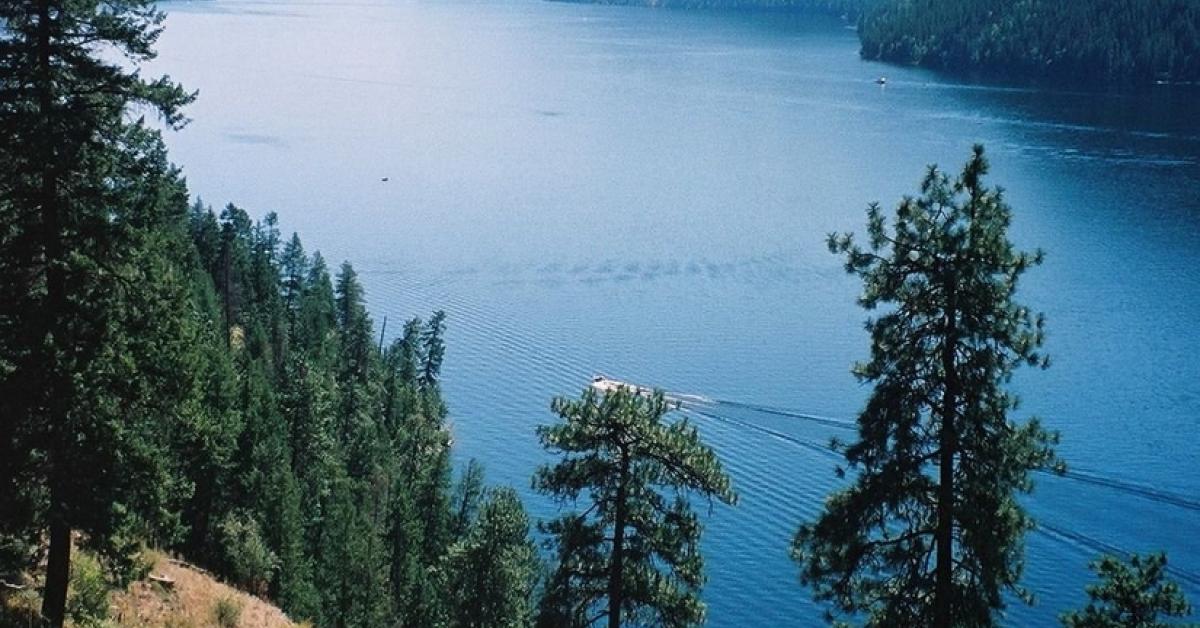 International Expert Joins Call for a Moratorium on Incinerators in BC ...