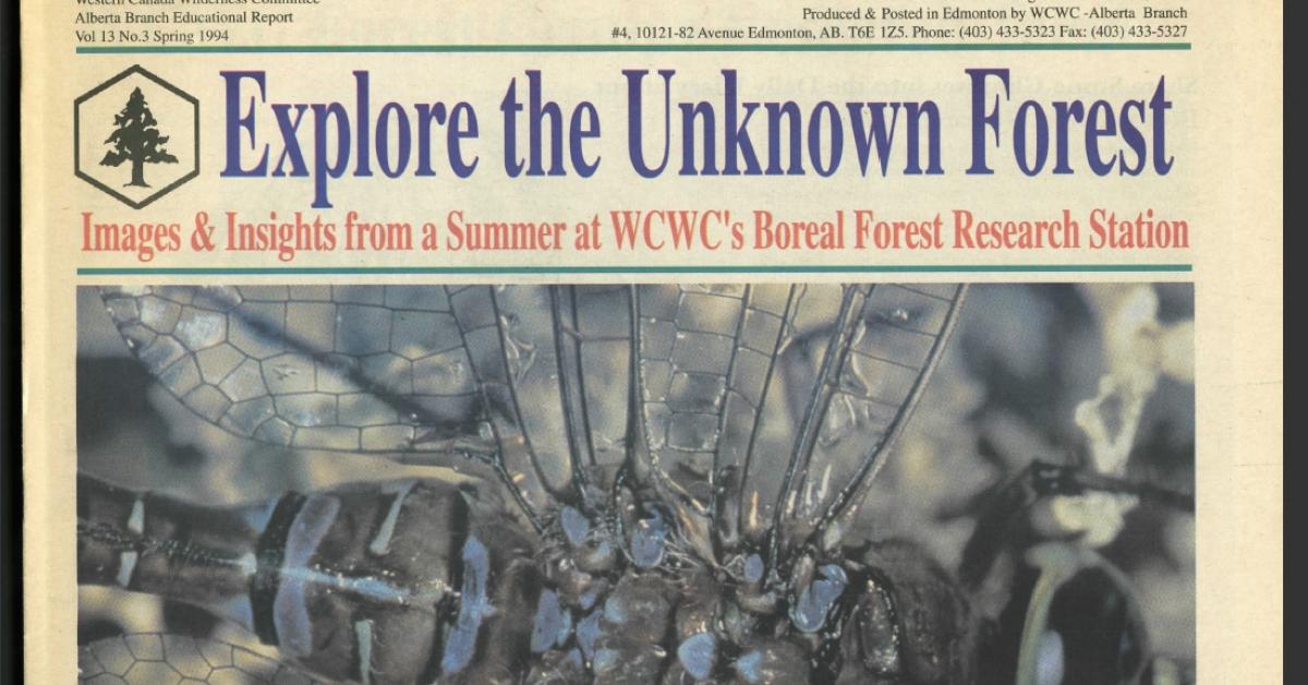 Explore the Unknown Forest | Wilderness Committee