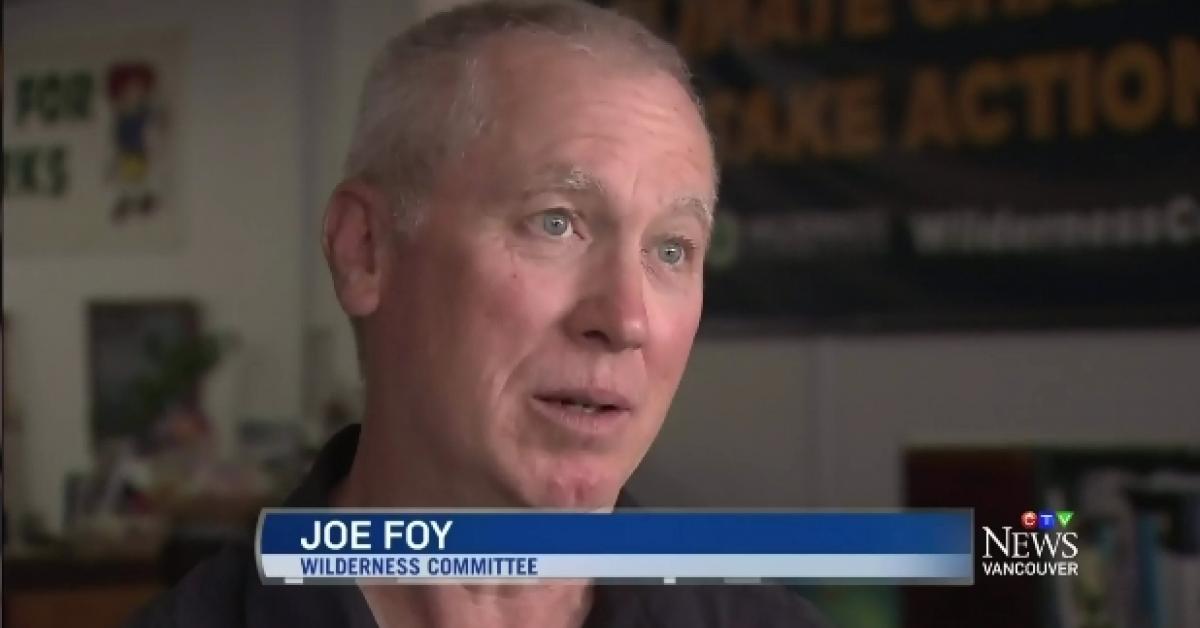 TV News Story - Fines demanded for yahoos who harass moose | Wilderness ...