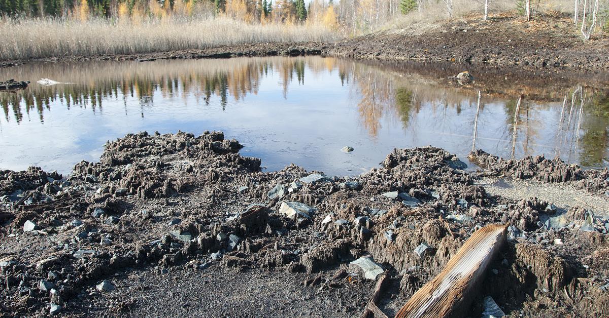WC exposes provincial park bog polluted with toxic mine waste ahead of ...