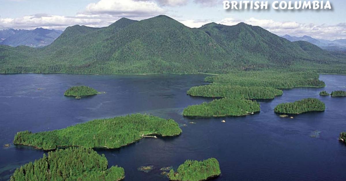 Clayoquot Sound Meares Island Tribal Park | Wilderness Committee