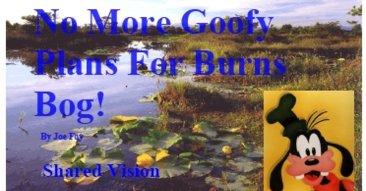 No More Goofy Plans for Burns Bog - Shared Vision | Wilderness Committee