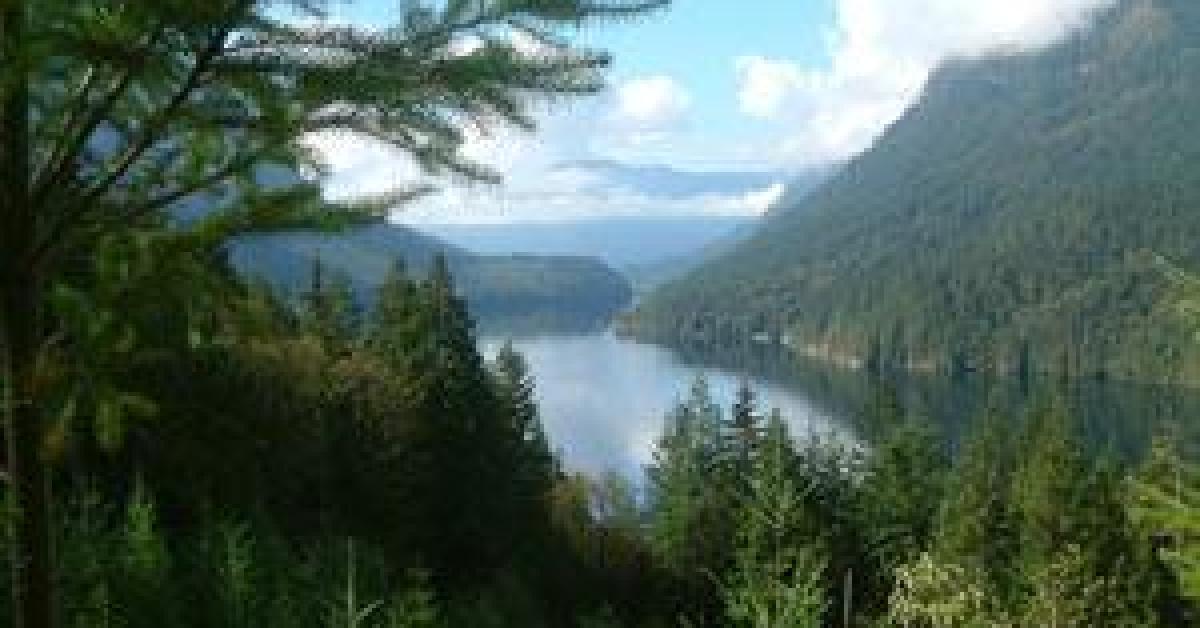 Narrows Inlet IPP Proposal Grinds to a Halt | Wilderness Committee