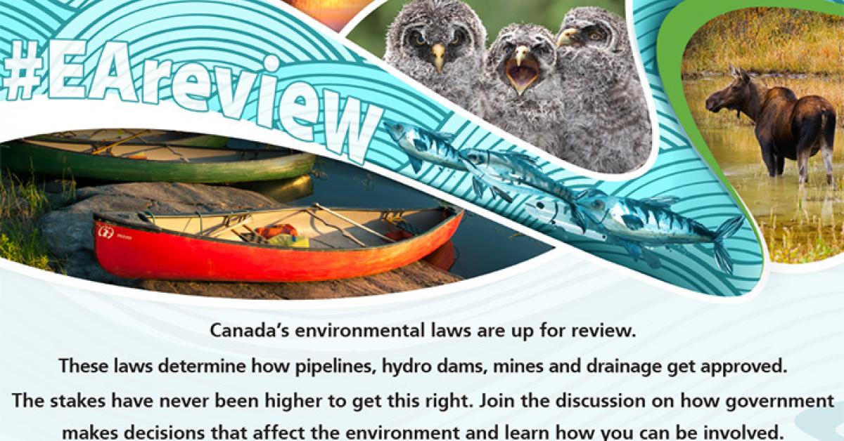 Coalition Hosting a Public Town Hall on Revising Canada’s Environmental ...