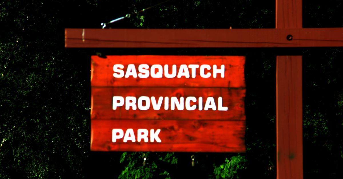 Public Meeting on Sasquatch Park Logging Road Proposal | Wilderness ...