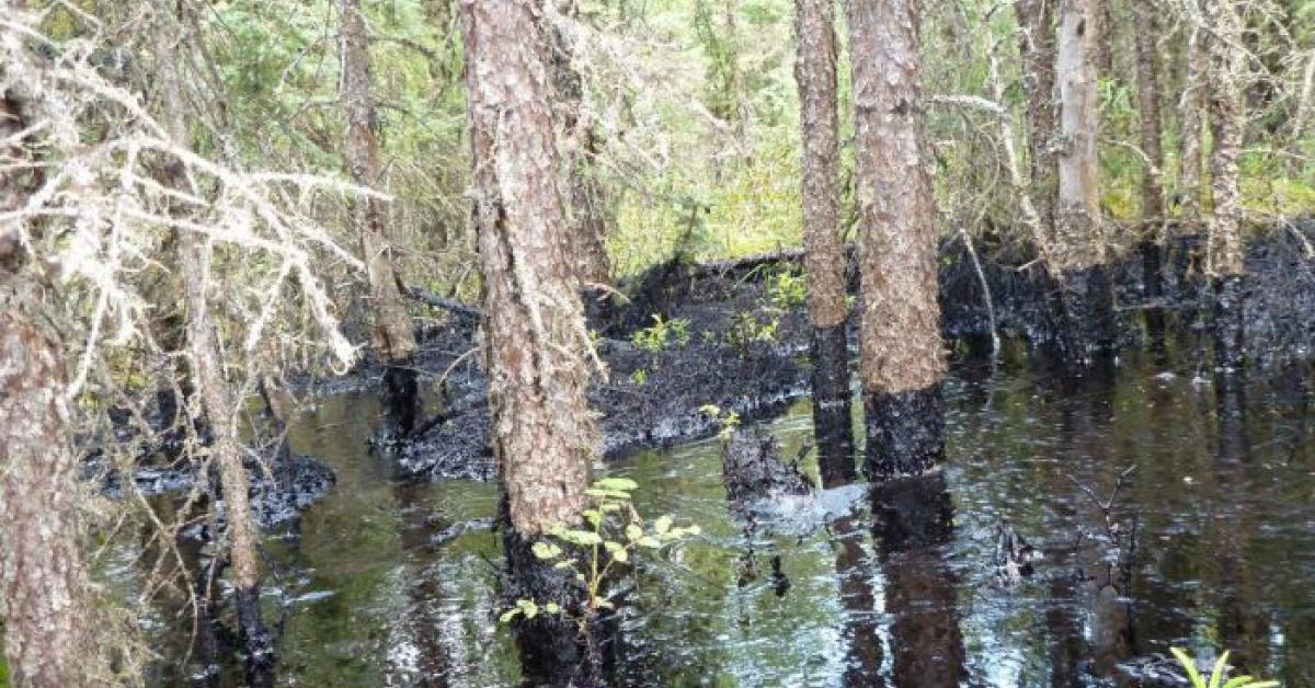 Tar Sands Spills: Over 1.5 million litres and still spilling ...