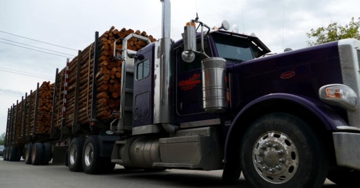 Tolko Industries Closure Brings Huge Ecological Impacts & Job Hardship ...