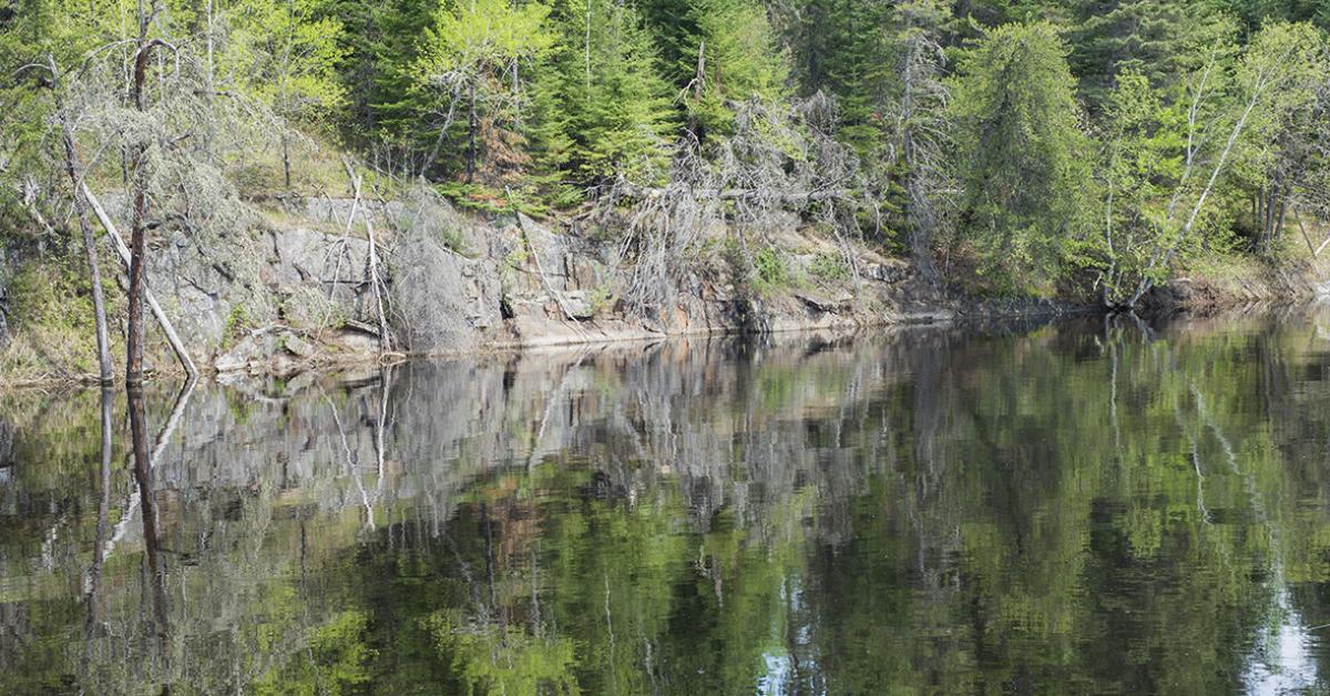 The lower Bird River: An area in need of protection | Wilderness Committee