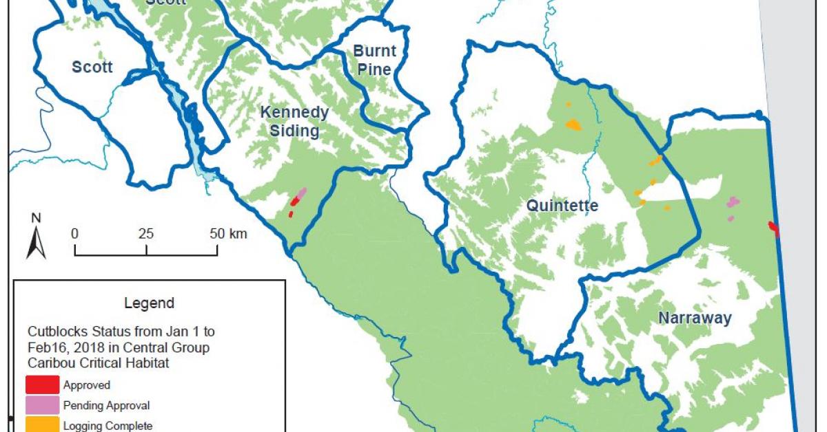As governments boast caribou recovery collaboration, logging continues ...