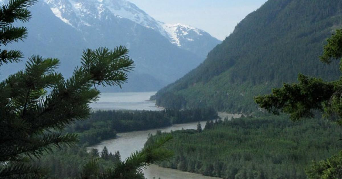 Bute Inlet | Wilderness Committee