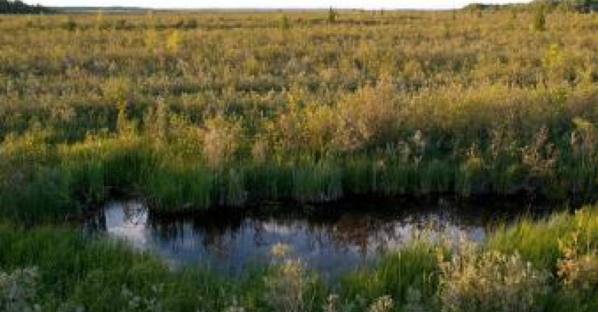 Manitobans take action to protect the Red Deer Lake area | Wilderness ...