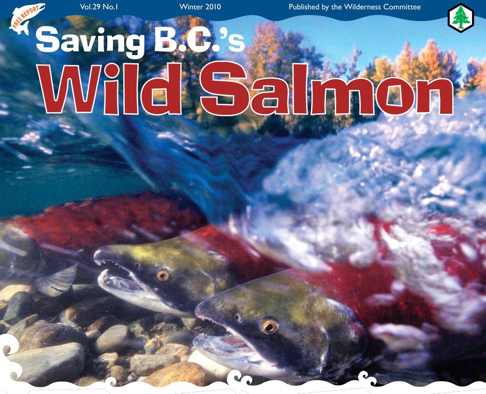 Saving BC's Wild Salmon | Wilderness Committee