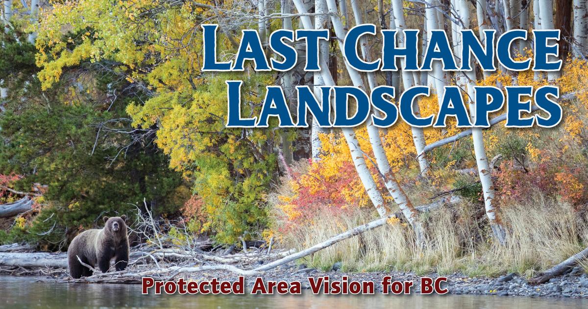 Last Chance Landscapes: Protected area vision for BC | Wilderness Committee