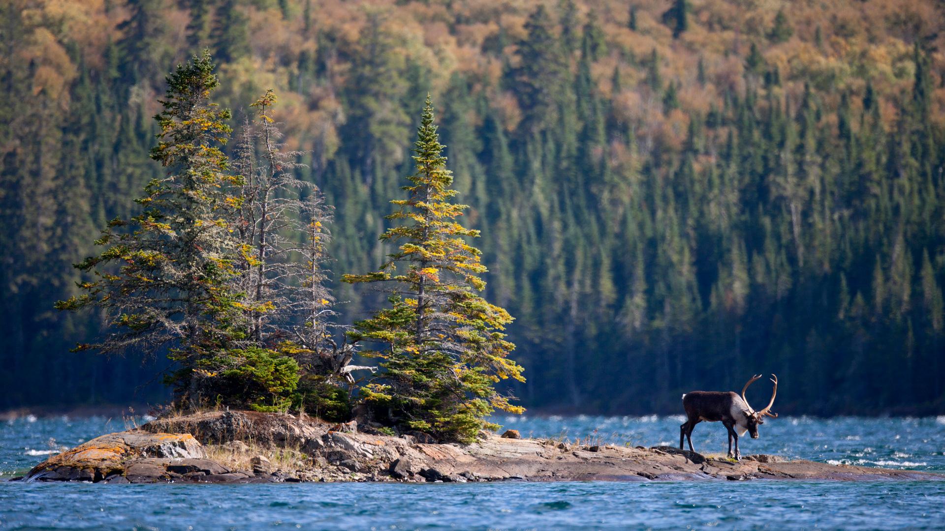 Pathways to Protection | Wilderness Committee